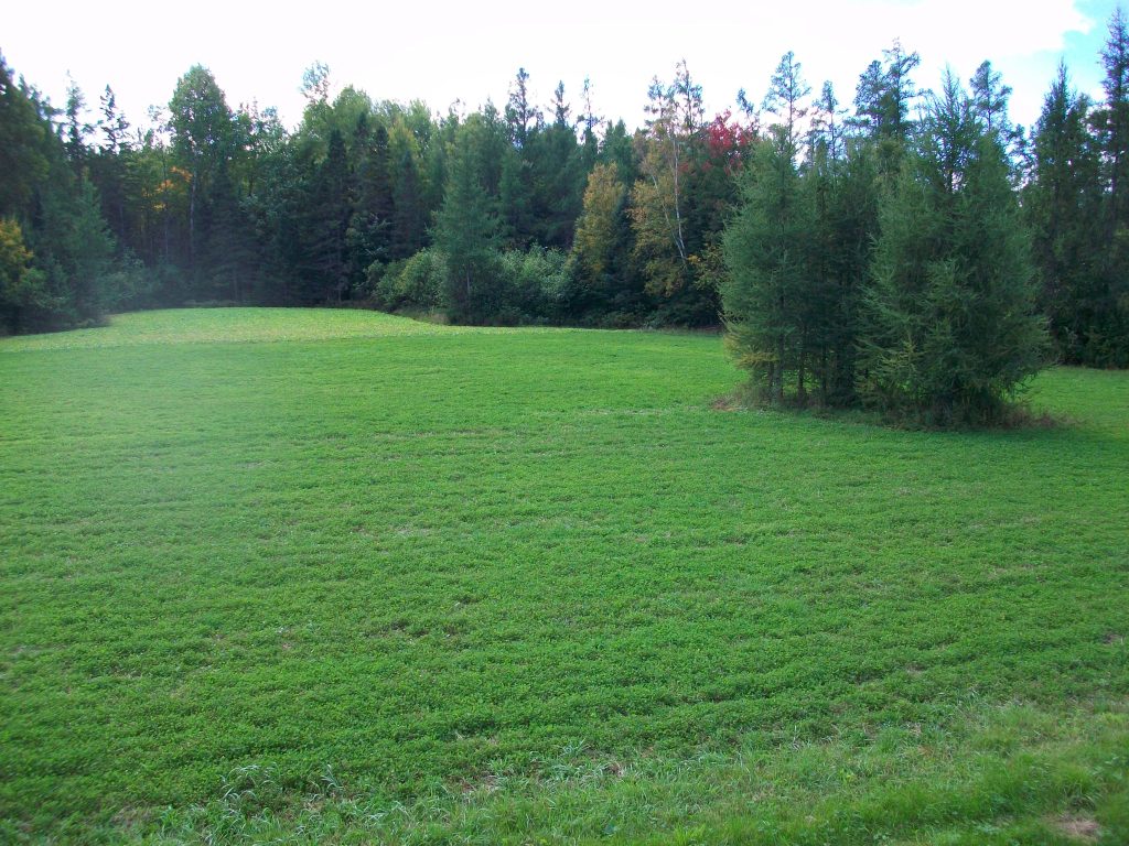 Certified Wildlife Habitat Planning | Pine Curve Forestry & Wildlife ...